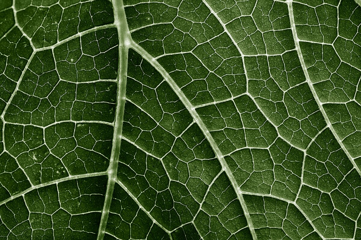 Trainings - FEMFAT Software